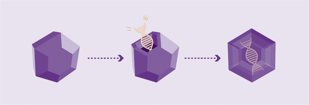 The differences between gene therapies for hemophilia A and hemophilia ...